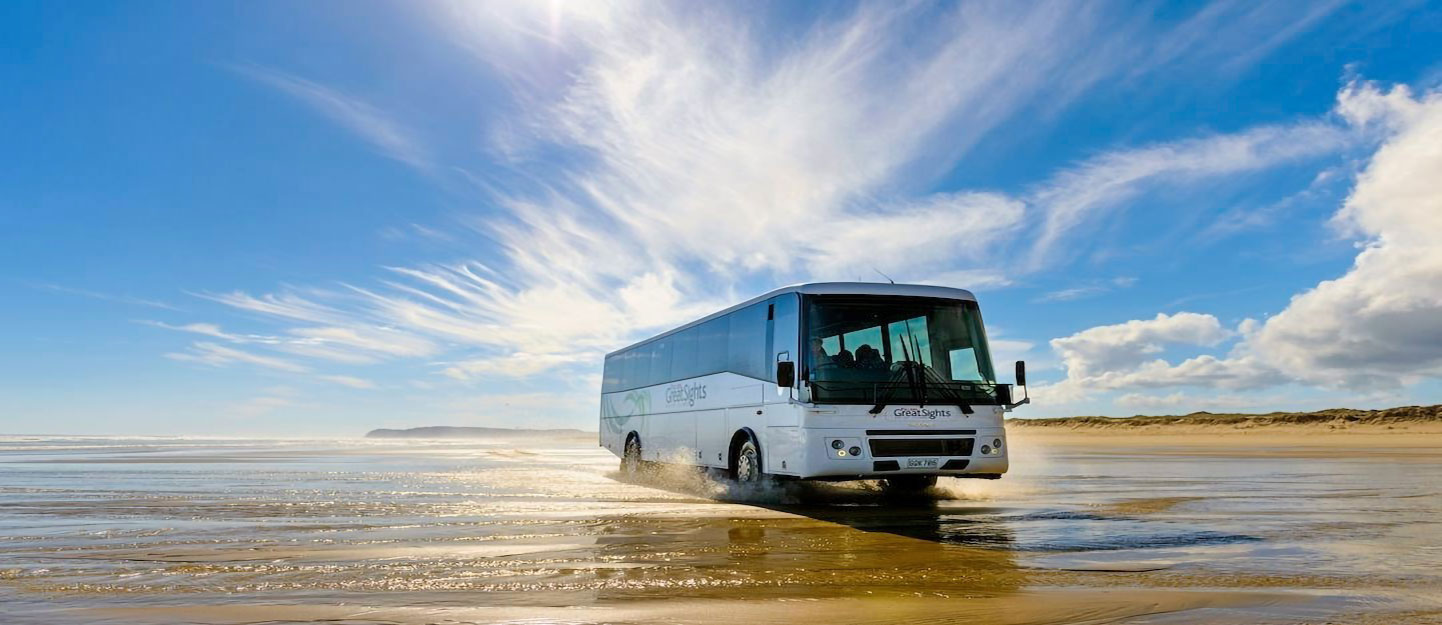 Amberwood | Seniors' Home